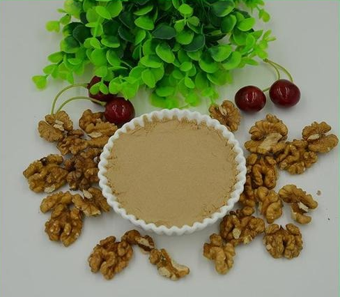 新疆核桃缘何出圈？ - 农业农村动态 - 新疆维吾尔自治区农业农村厅